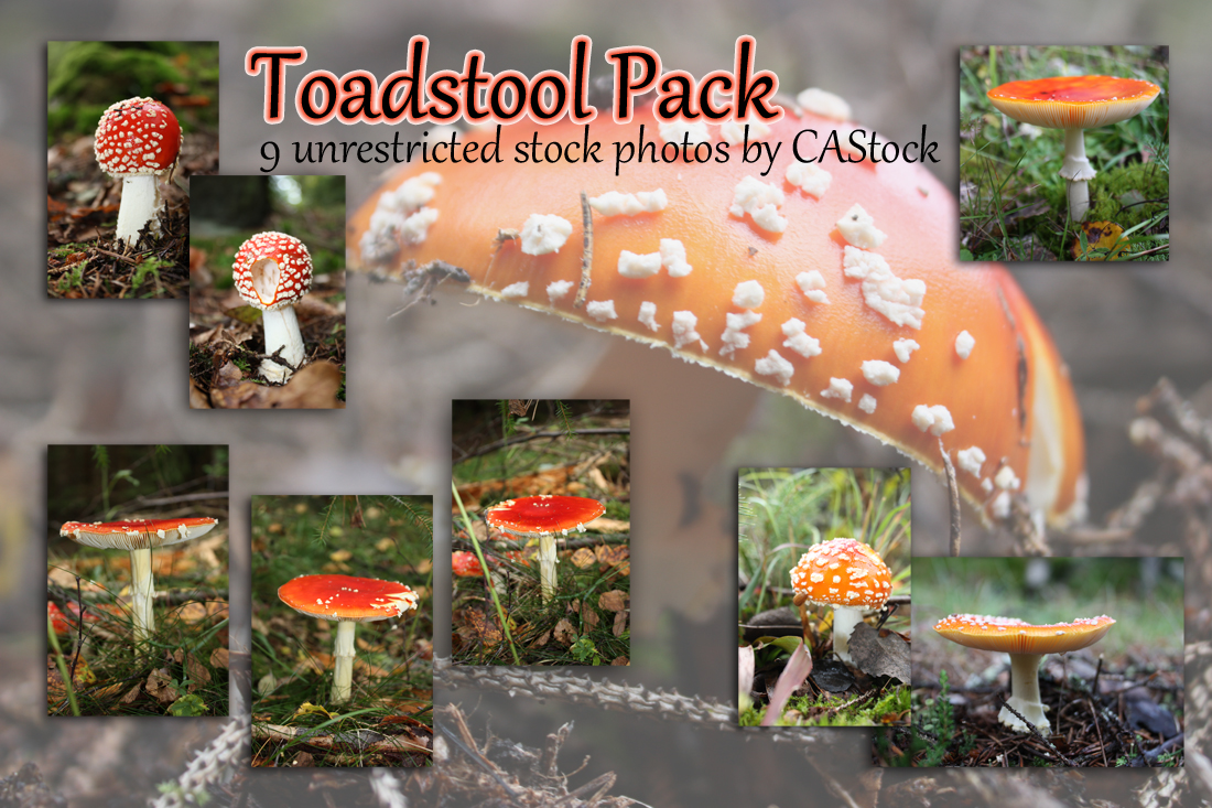 Toadstool pack by CAStock on DeviantArt