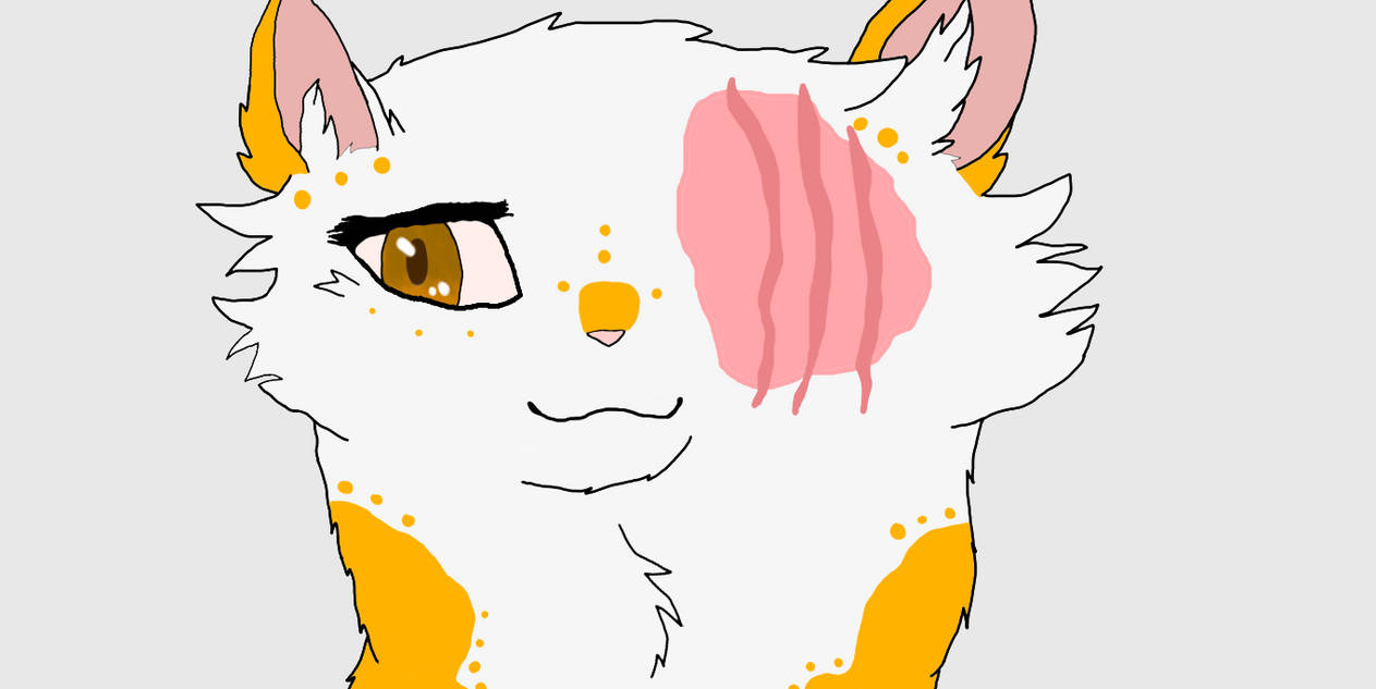 Brightheart by SunpoolSummer on DeviantArt