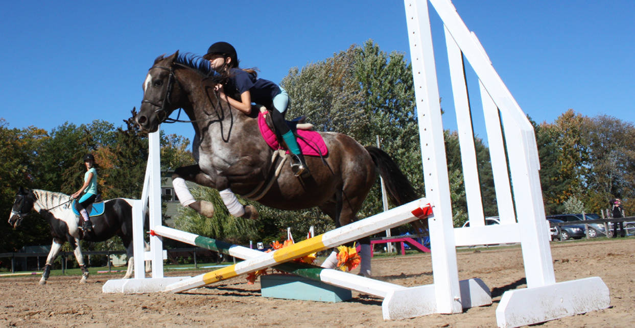 Super Pony! 2 by TheWaywardMare on DeviantArt