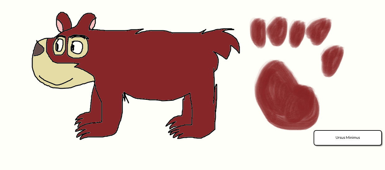 Ursus minimus drawing by KallyToonsS on DeviantArt