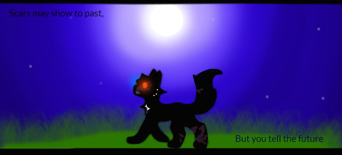Scars by KittenMonster25 on DeviantArt