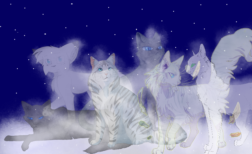 star clan by harrypoterfan1 on DeviantArt