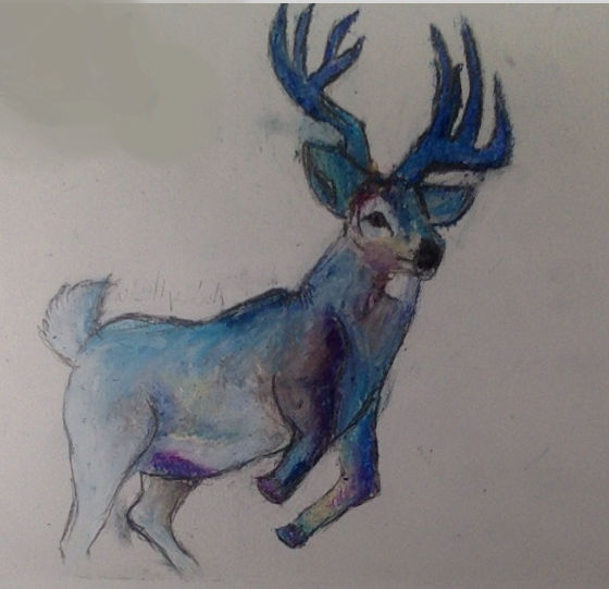 Deer :D by CelestialBeauties on DeviantArt