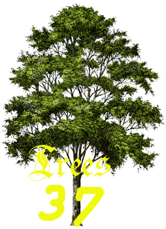 Gimp Tree Brushes by thenova7339 on DeviantArt