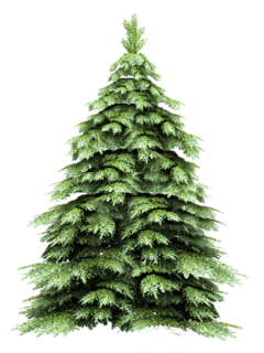 Fir Trees Gimp Brushes by thenova7339 on DeviantArt