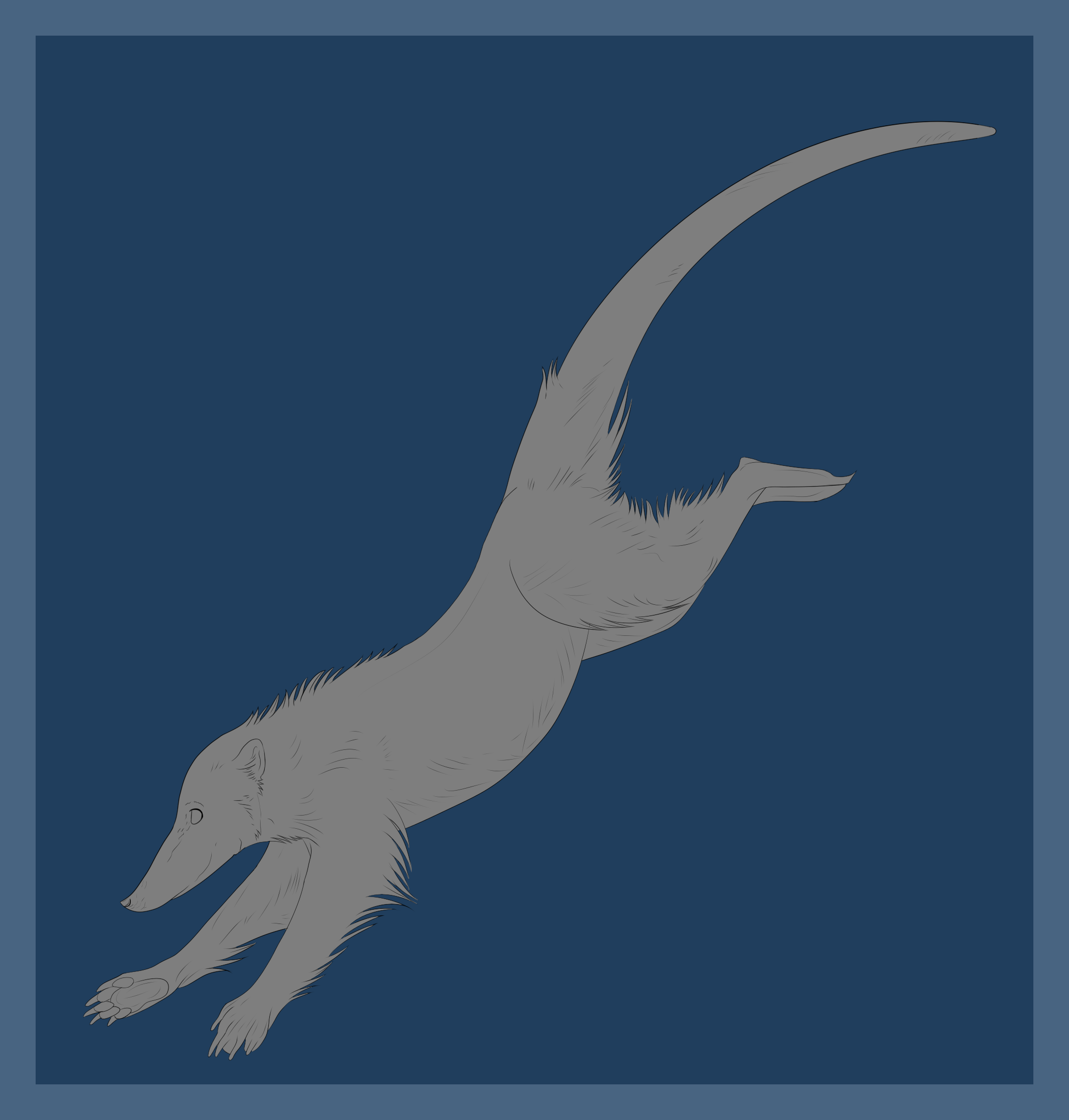 Free Coati Lineart by R0CKERS on DeviantArt