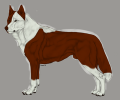 zaporah User Profile | DeviantArt