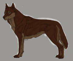 zaporah User Profile | DeviantArt