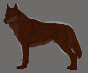 zaporah User Profile | DeviantArt