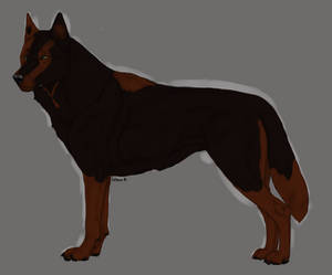 zaporah User Profile | DeviantArt