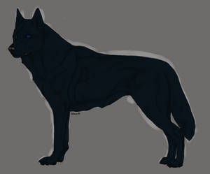 zaporah User Profile | DeviantArt