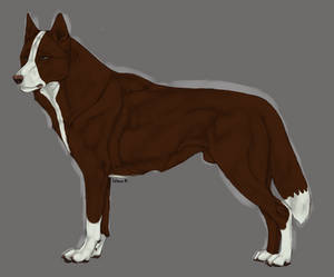 zaporah User Profile | DeviantArt