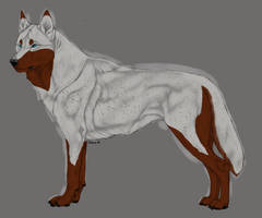 zaporah User Profile | DeviantArt