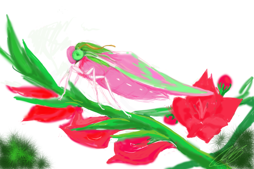 Hawkmoth by fairfire on DeviantArt