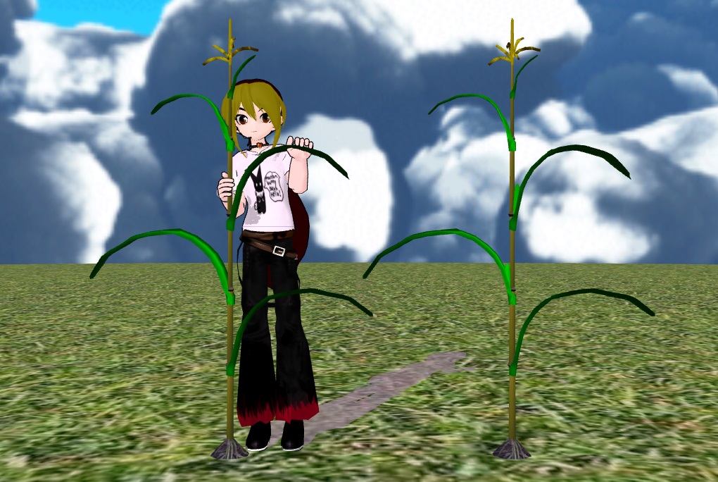 [MMD] Corn plant wthout and wth shoots DL by me-ooks on DeviantArt