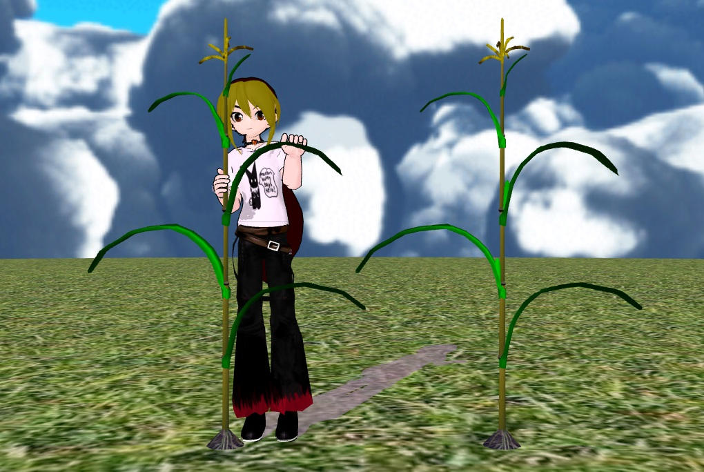 [MMD] Corn plant wthout and wth shoots DL by me-ooks on DeviantArt