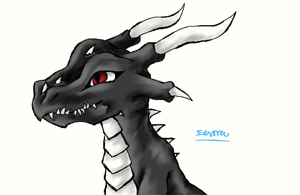 Request: Black Dragon by Eevora on DeviantArt