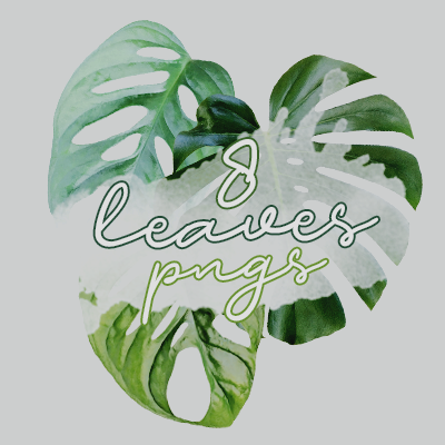 8 Leaves Pngs by Foxy159200 on DeviantArt