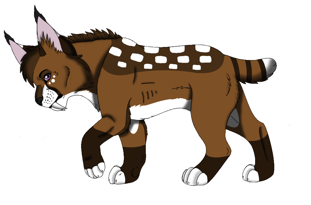 Realistic Poppy by Shadow-at-Nightfall on DeviantArt