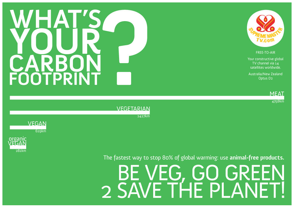Carbon Footprint Banner by ejayne on DeviantArt