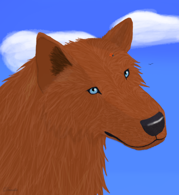 Ladybug and wolf by Drasila on DeviantArt