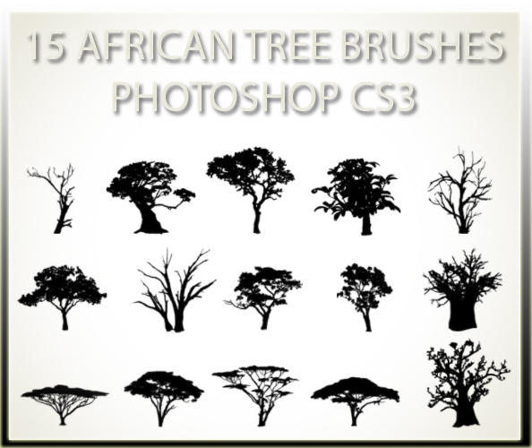 15 African Tree Brushes PSCS3 by charfade on DeviantArt