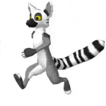 lemur walking gif by newdlc on DeviantArt