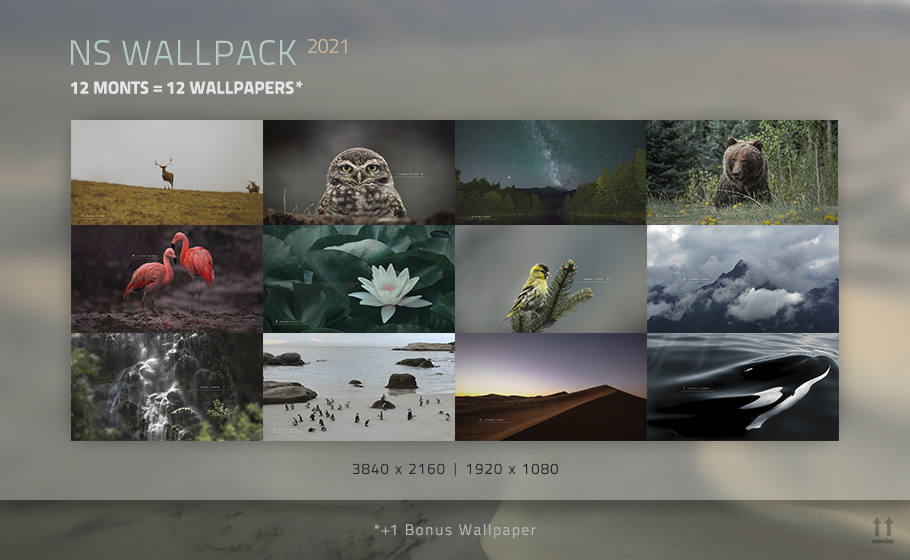 NSWP-2021 by nosphere on DeviantArt