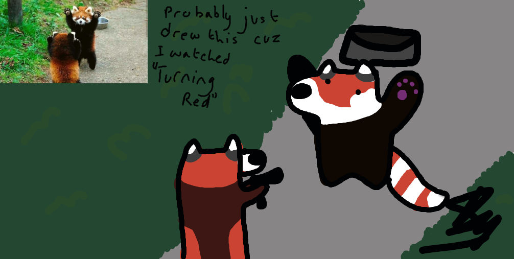 when a red panda meets a red panda by BearHeartTheBrave on DeviantArt