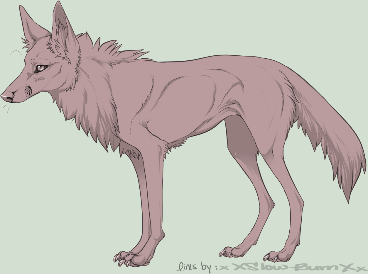 Free Wolf Lineart by XxSlow-BurnxX on DeviantArt
