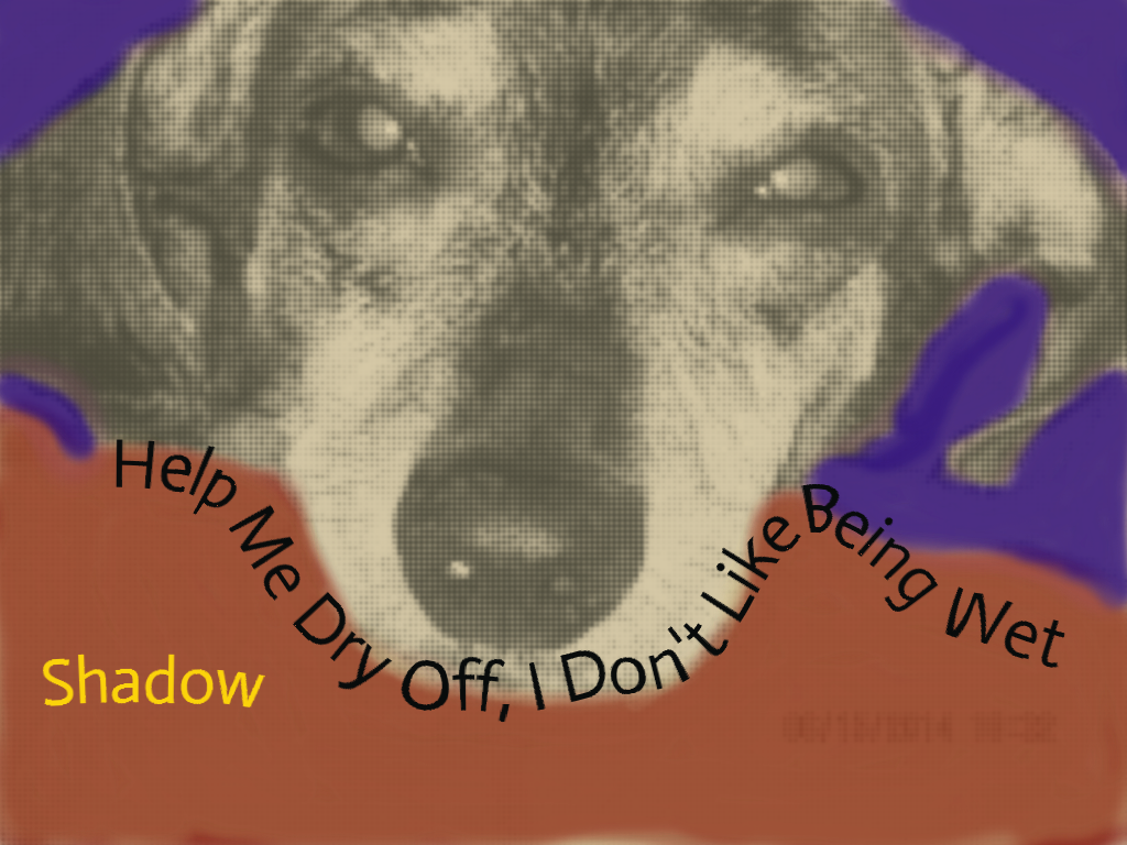 Head Line Puppy News: Help Me Dry Off by HomeOfBluAndshadows on DeviantArt