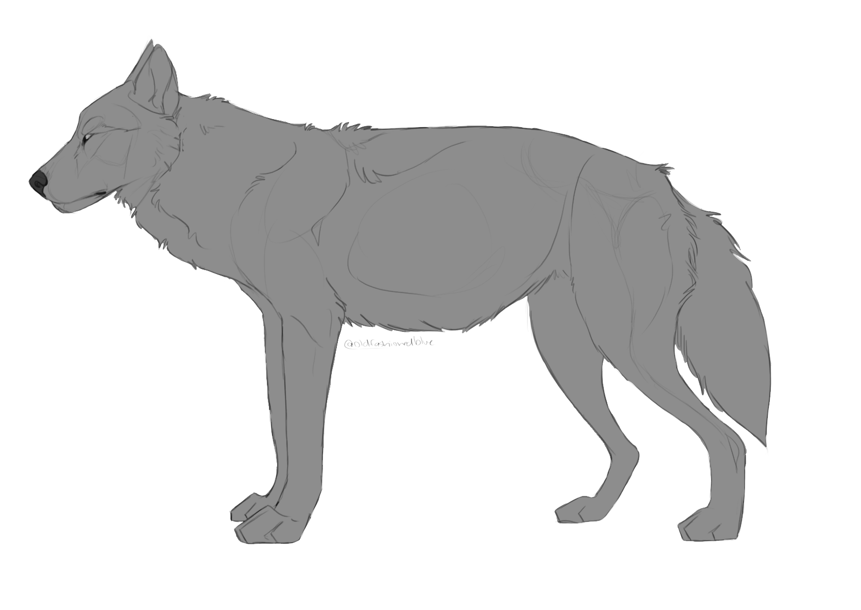 Wolf Lineart by bleuzye on DeviantArt