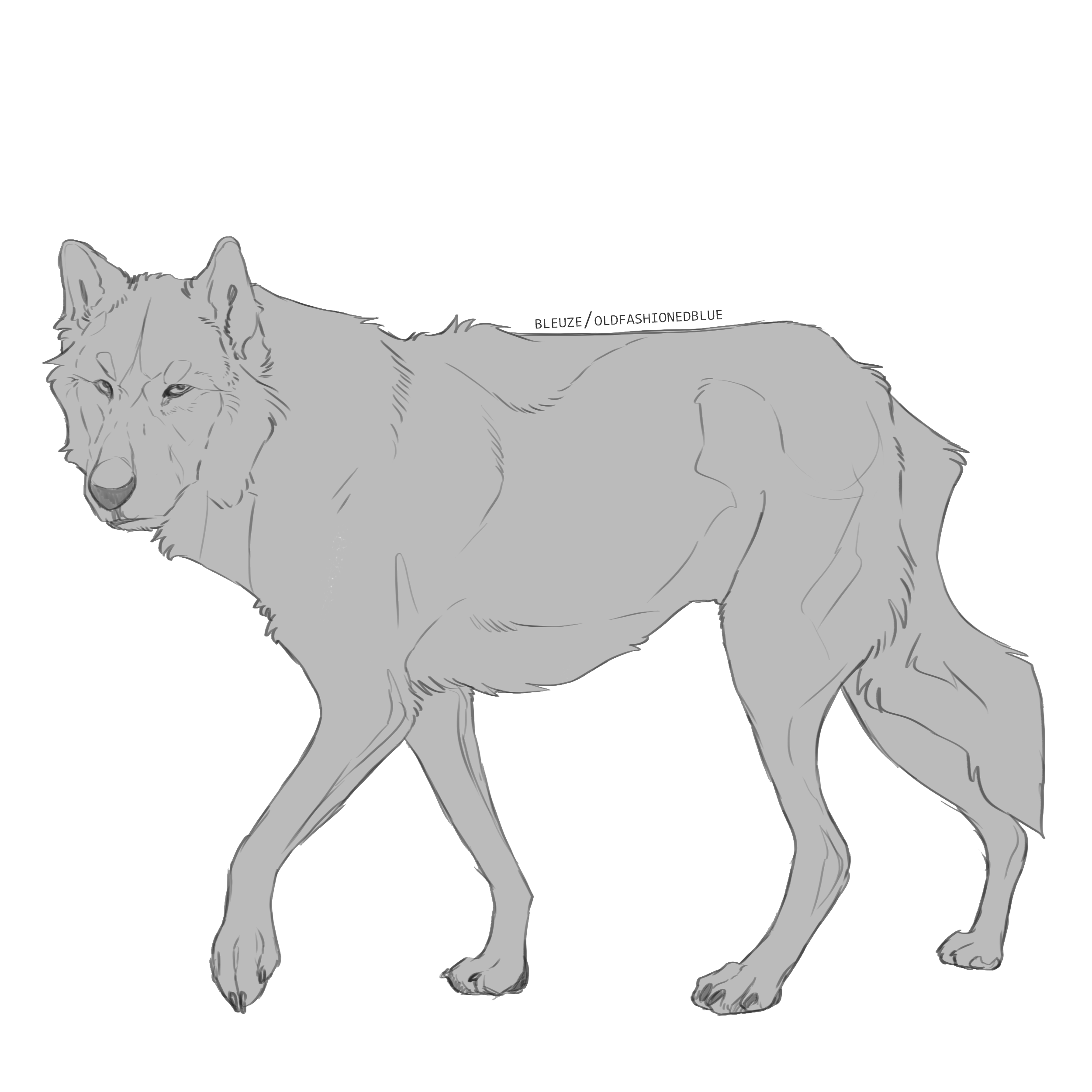 Free Wolf Lineart by bleuzye on DeviantArt