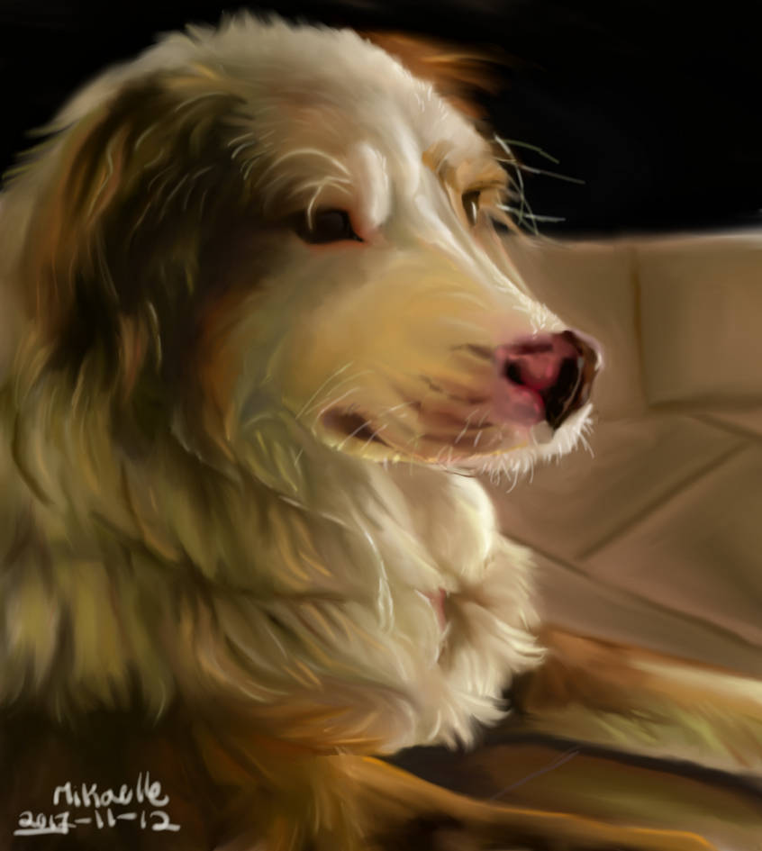 Senna dog for request by MikaKoda on DeviantArt