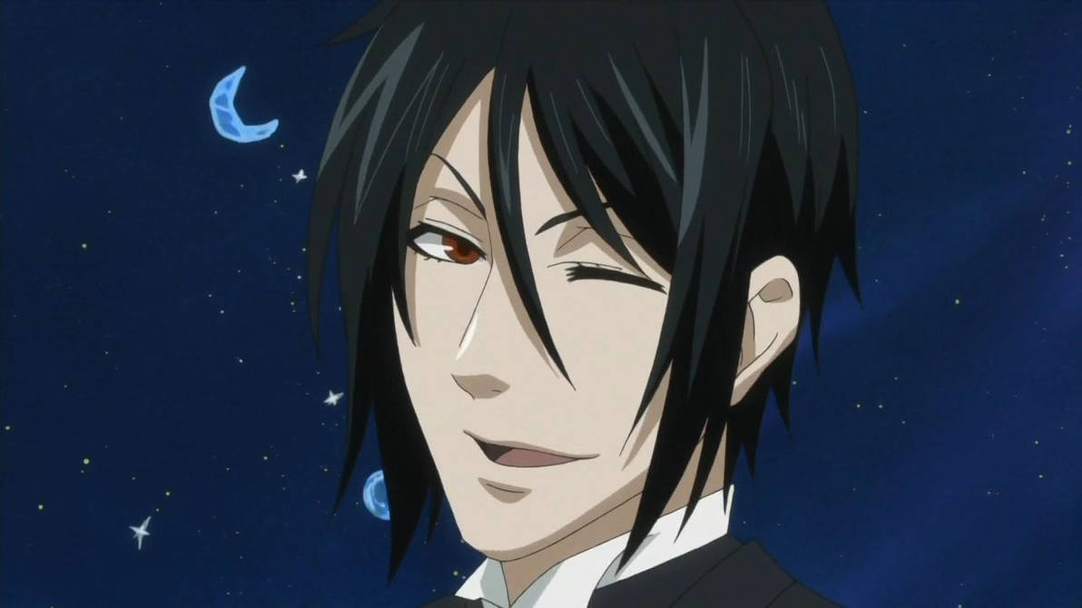 Sebastian x Cat!Reader [Hybrid Ball] by KibaRoark on DeviantArt