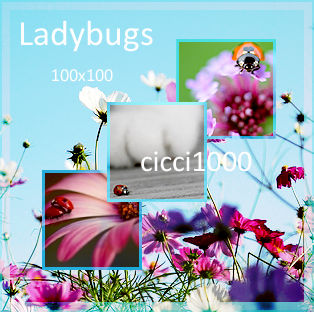 Bases Ladybugs 100x100 by cicci1000 on DeviantArt