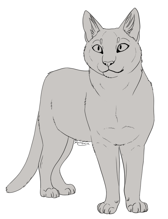 Free Cat Lineart by Ranohara on DeviantArt