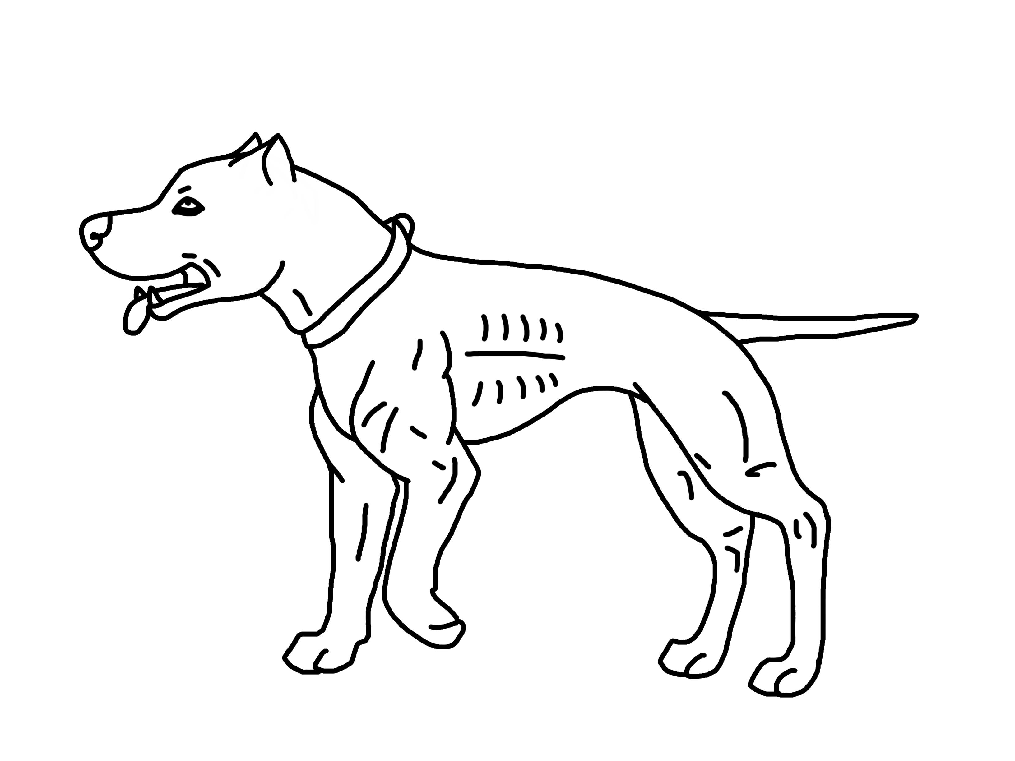 Pit Bull Line Art Cropped Ears by Top-Dogs-Kennel on DeviantArt