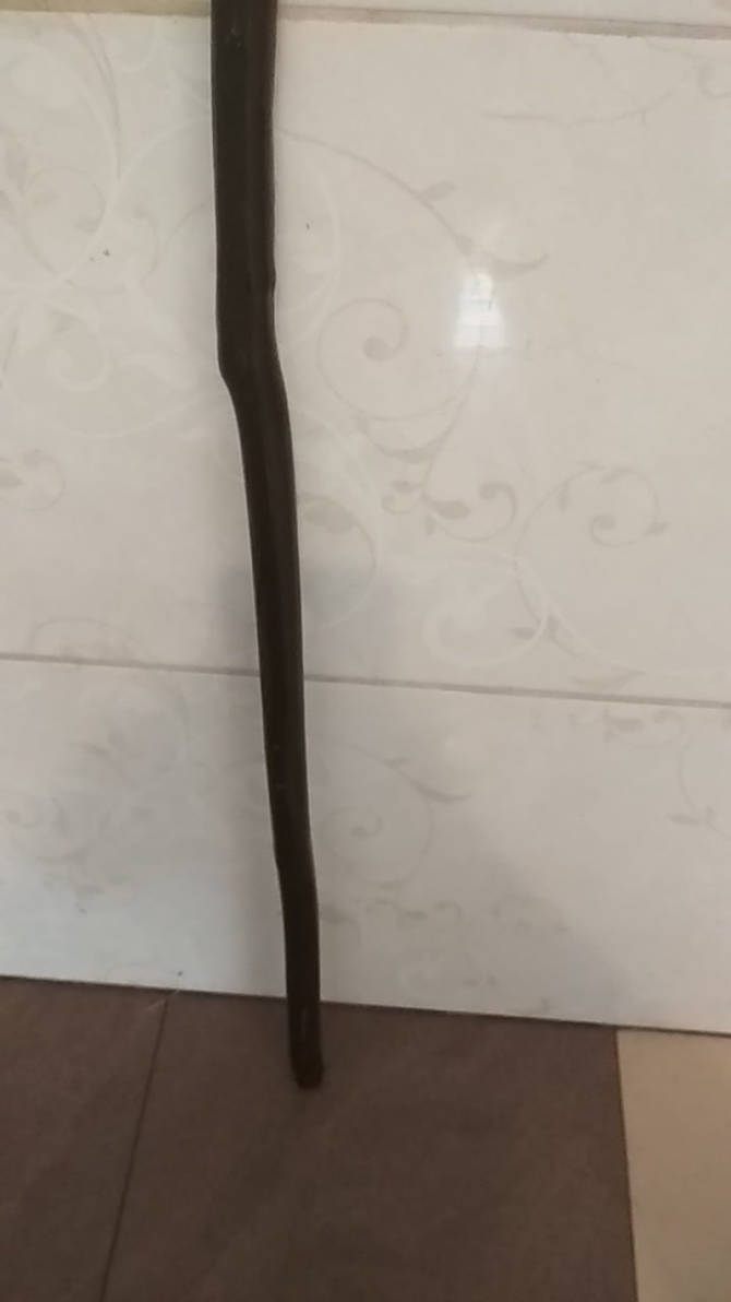 Cane 3 by LuckyCloversArt on DeviantArt