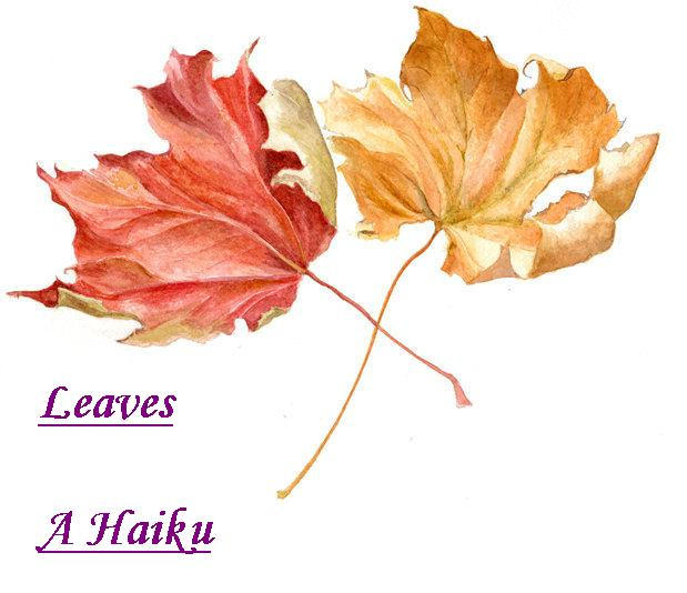 Leaves by Shadea-the-Hedgehog on DeviantArt