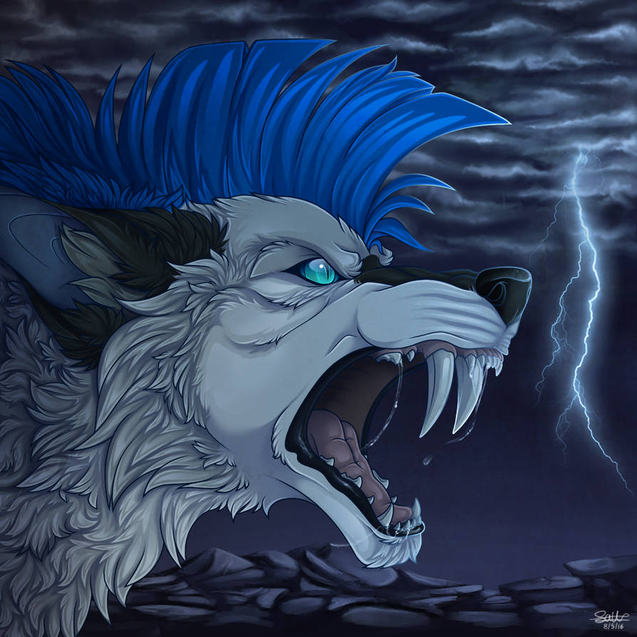 || The Storm by Blake-Rosey on DeviantArt