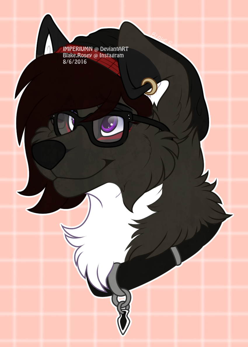 || COMMISSION | Ashie.exe by Blake-Rosey on DeviantArt