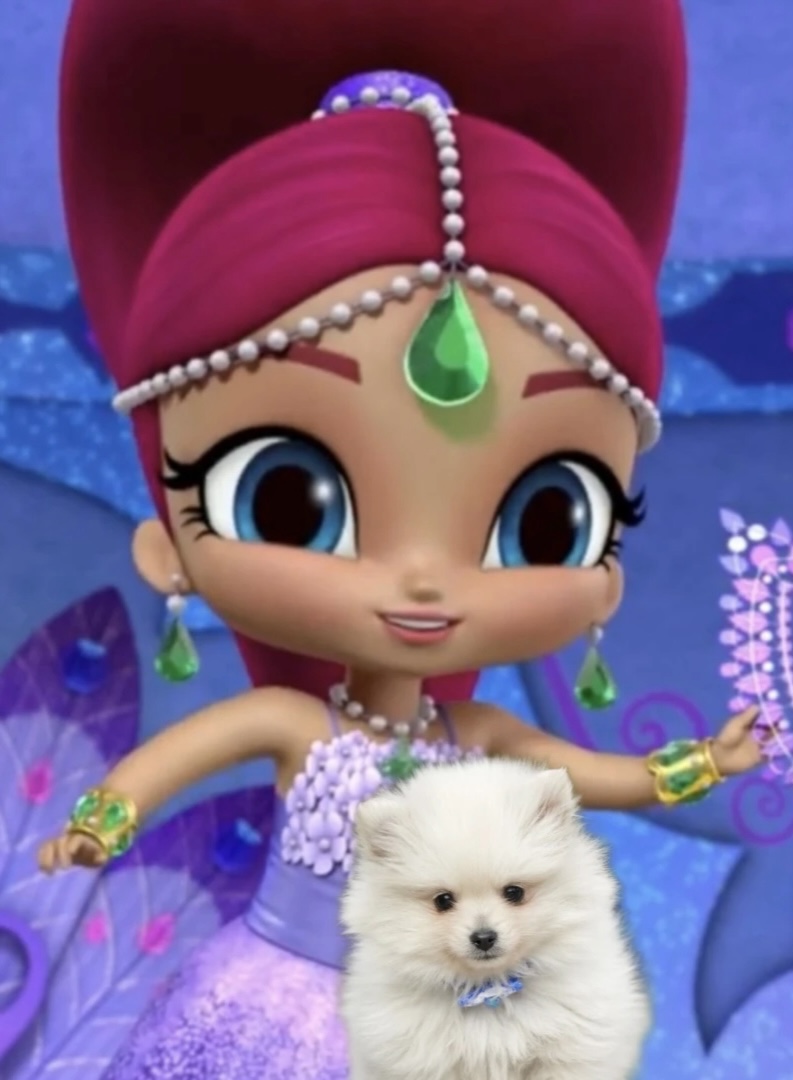 Princess Shimmer and her Cute White Fur Puppy by bubbasown11 on DeviantArt