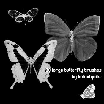 Large butterfly brushes by butnotquite on DeviantArt