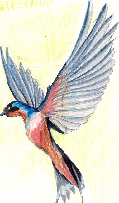 a traditional bird drawing by Utaleasha on DeviantArt