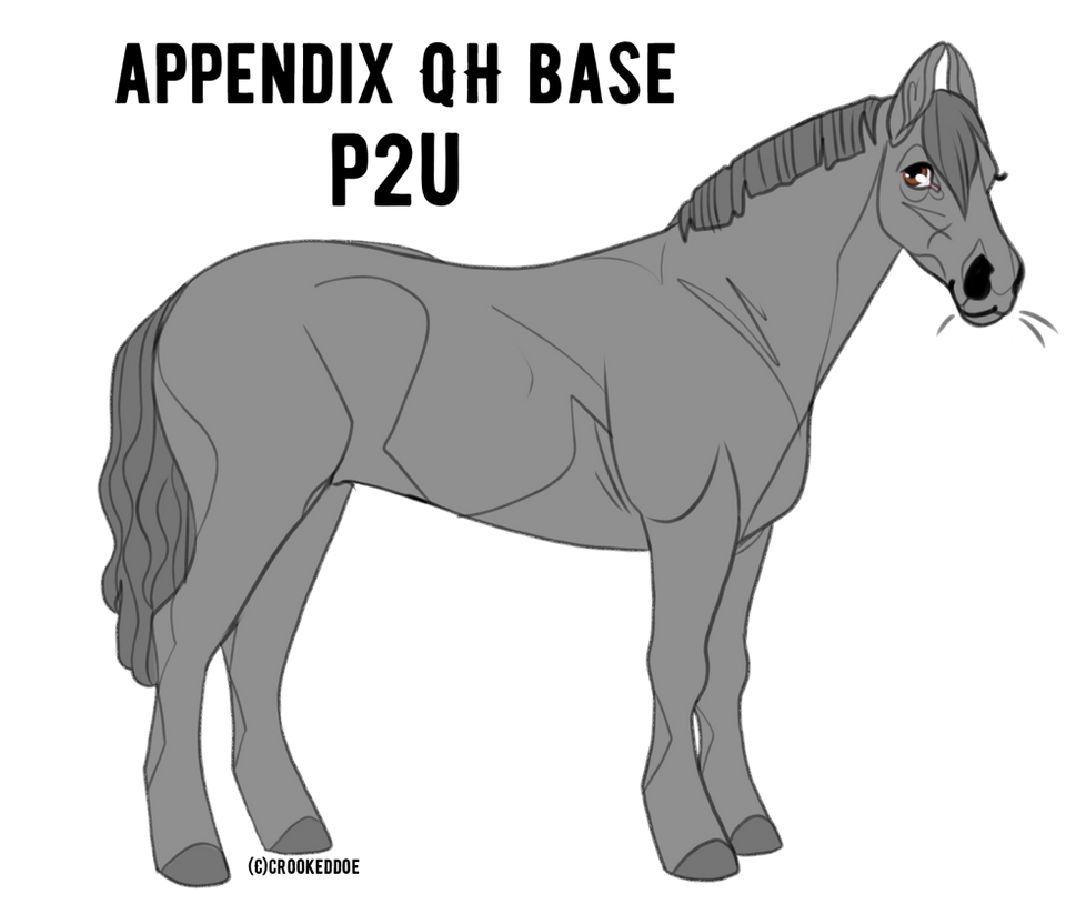 P2U | Appendix QH Base by CrookedDoe on DeviantArt