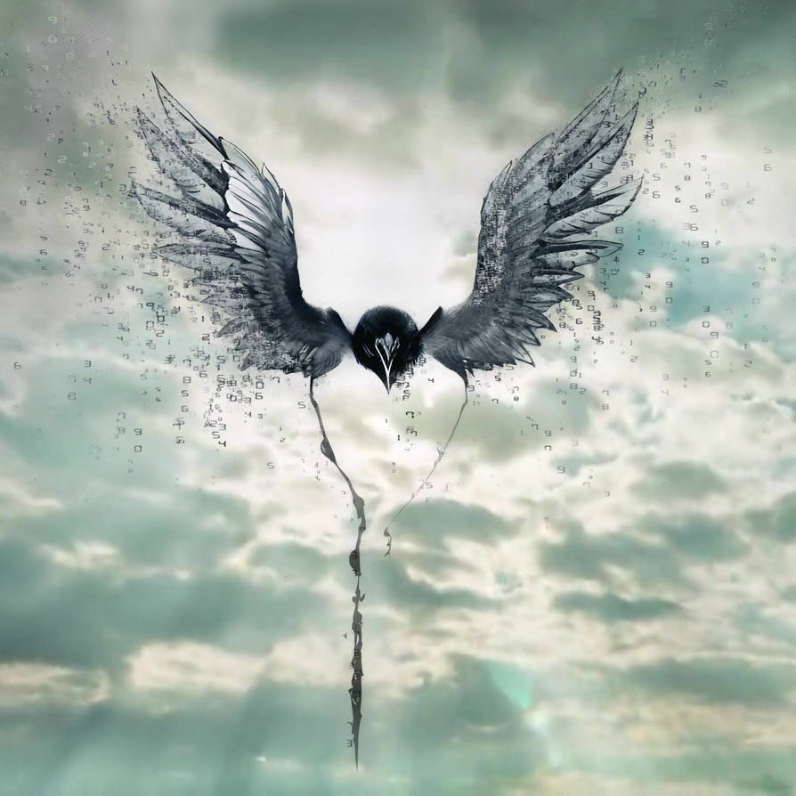 Raven 4K by SeraphimEnergy on DeviantArt