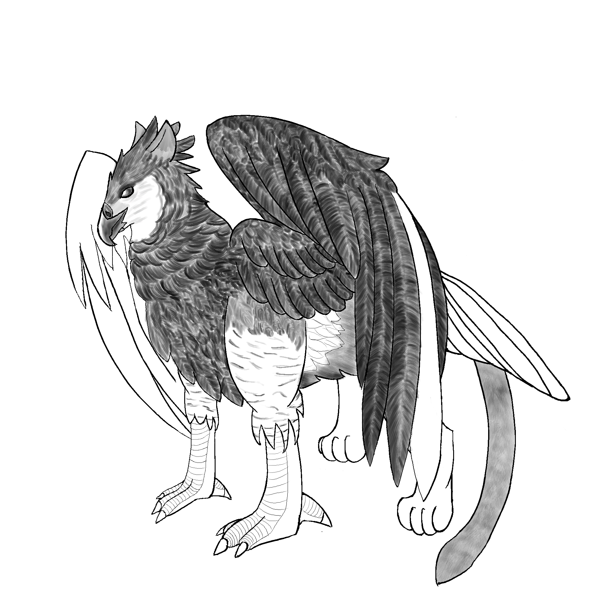 WIP Harpy Eagle Gryphon (again) by Cyacol on DeviantArt