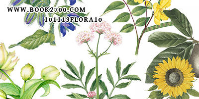 101113_flora10_by_eleven by eleven1627 on DeviantArt