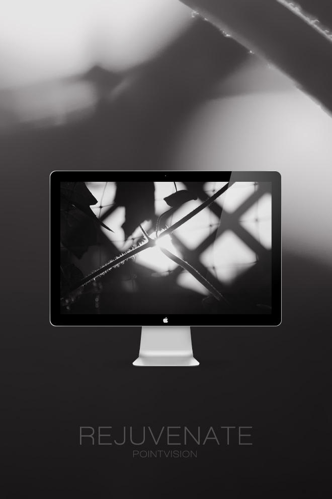 Rejuvenate by PointVision on DeviantArt